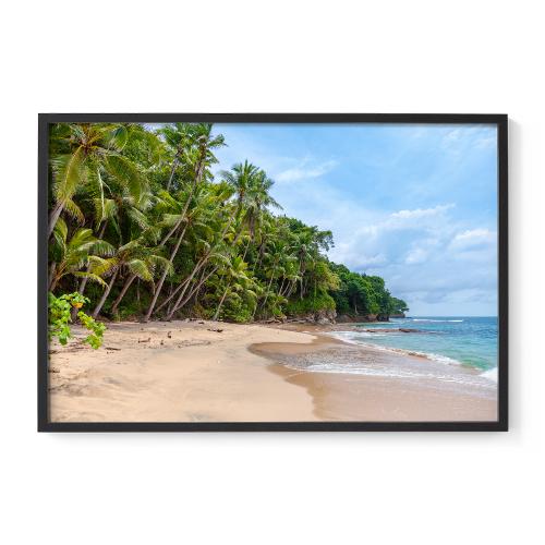 Live Product Options Frame Size & Color – Viro Display